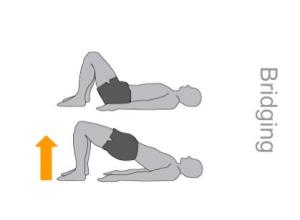 bridging exercise | the good exercise guide