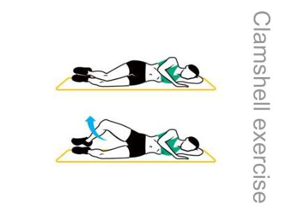 clamshell exercise | the good exercise guide